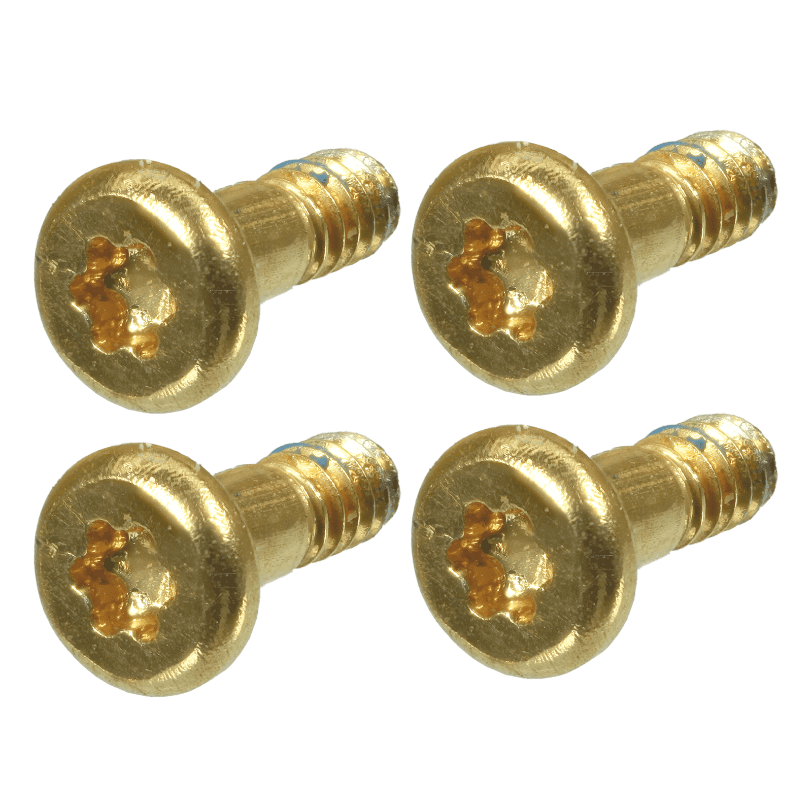 (923-01013) Speaker/Antenna Screws - MacBook 12″ A1534 (2016-2017)